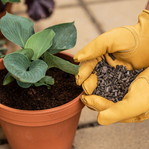 Growing Success Organic Slug Stop Pellets 2.25kg – Smyth's Homevalue